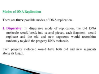 Replication In Eukaryotes and Prokaryotes | PPT
