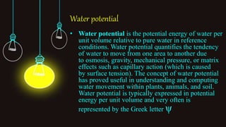 Imbibition and water potential . | PPTX