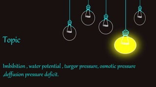 Imbibition and water potential . | PPTX
