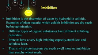 Imbibition and water potential . | PPTX