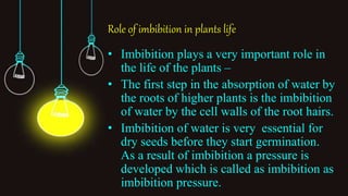 Imbibition and water potential . | PPTX