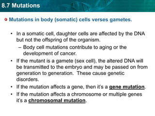 mdougallmutations.ppt