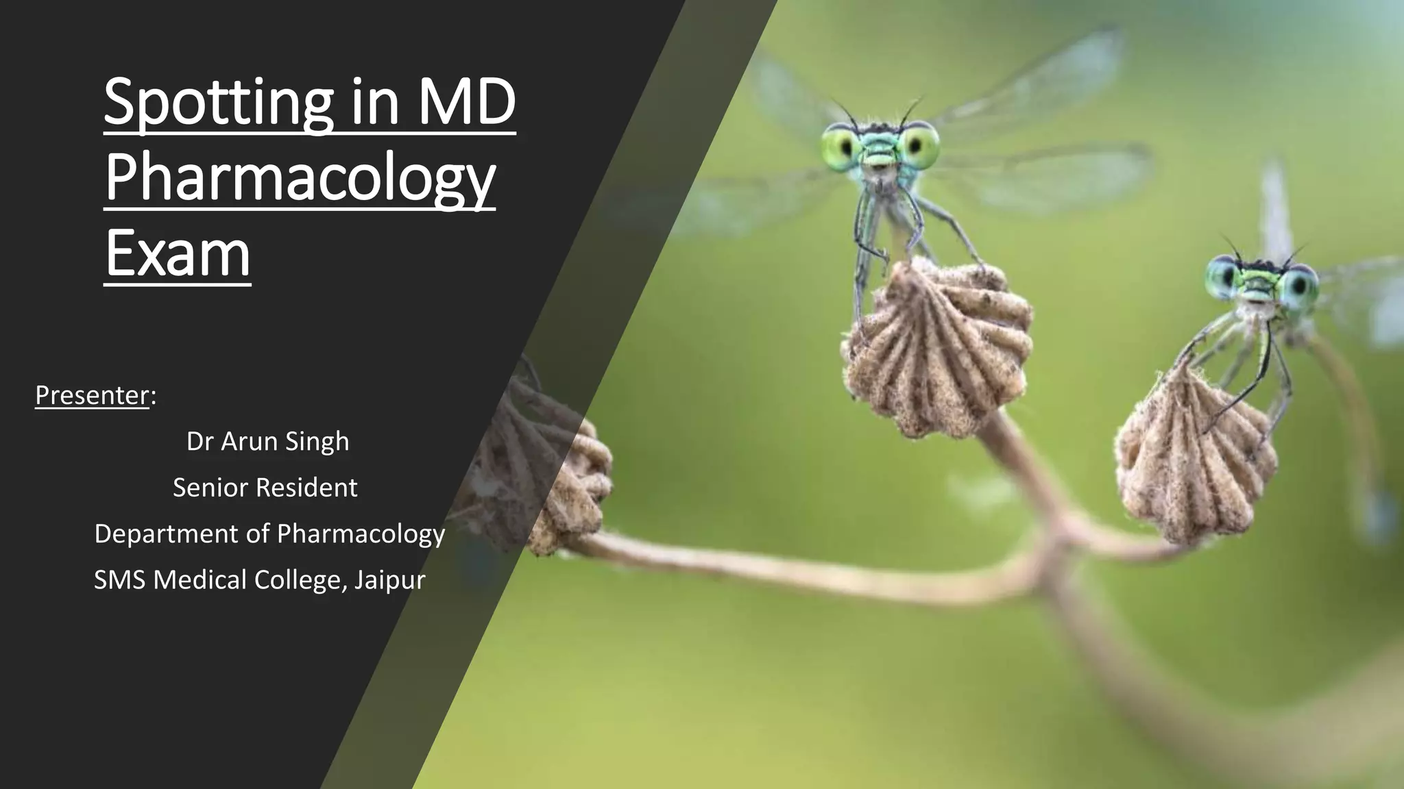 MD Pharmacology Exam Spotting.pptx