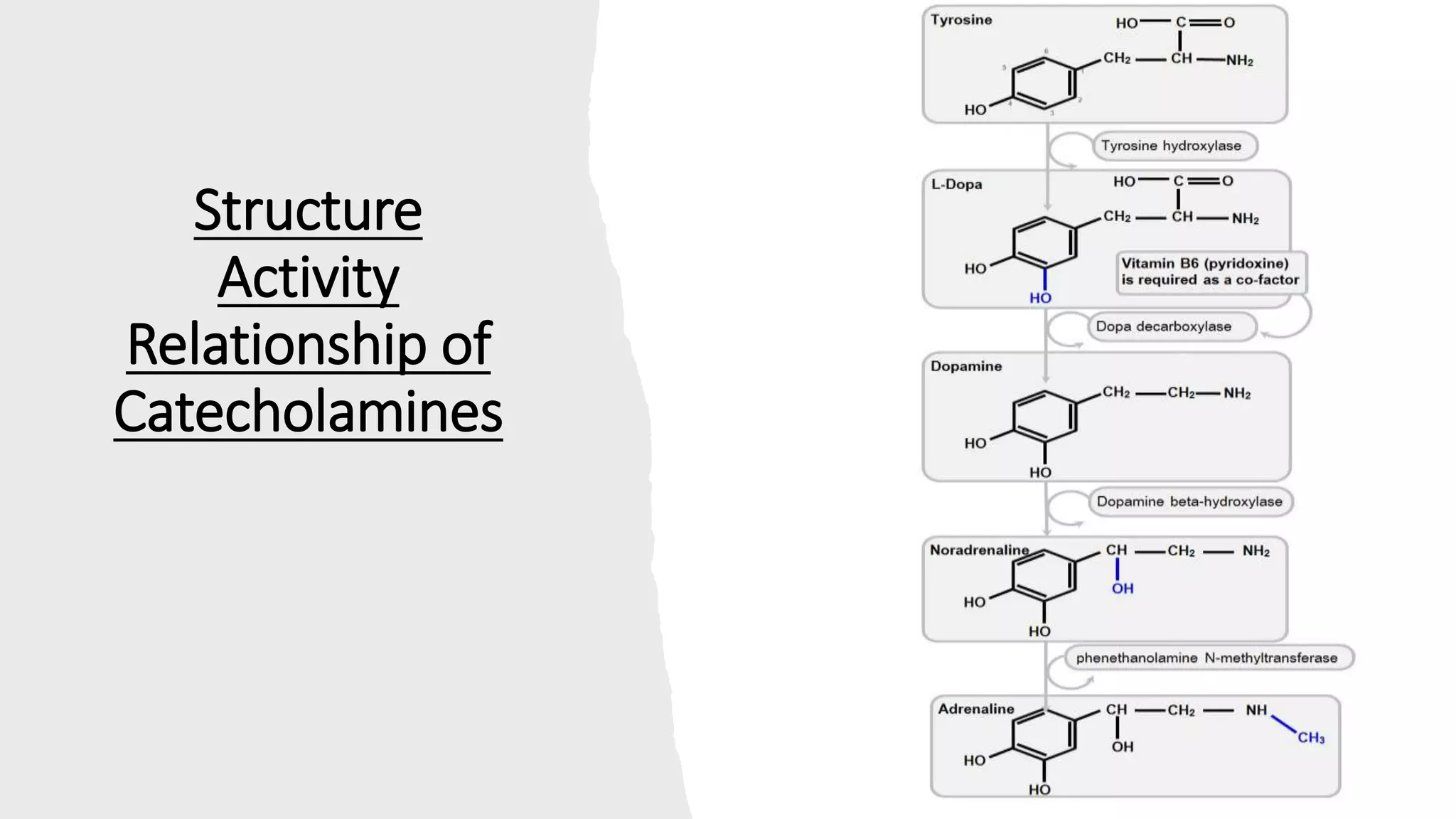 MD Pharmacology Exam Spotting.pptx