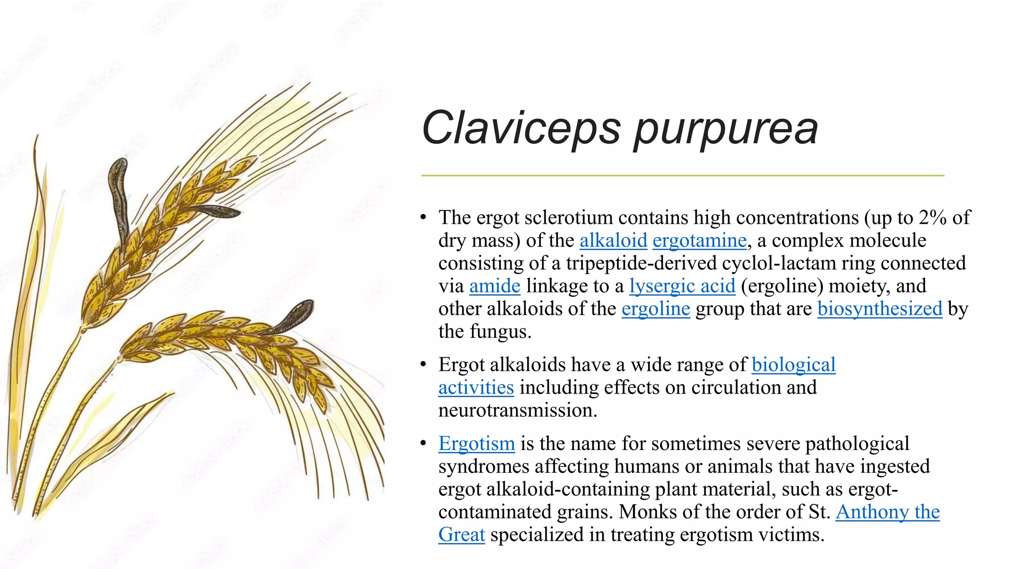 MD Pharmacology Exam Spotting.pptx