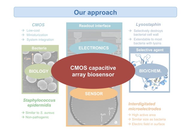 An Integrated Capacitive Array Biosensor for the Selective and Real ...
