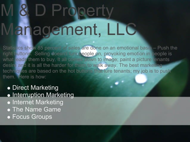 M D Property Mgt Llc | PDF