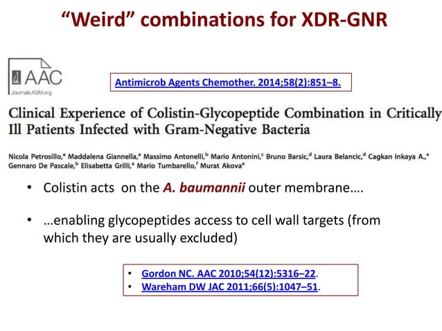 Treatment of infections caused by MDR-Gramnegatives: Update (Literature ...