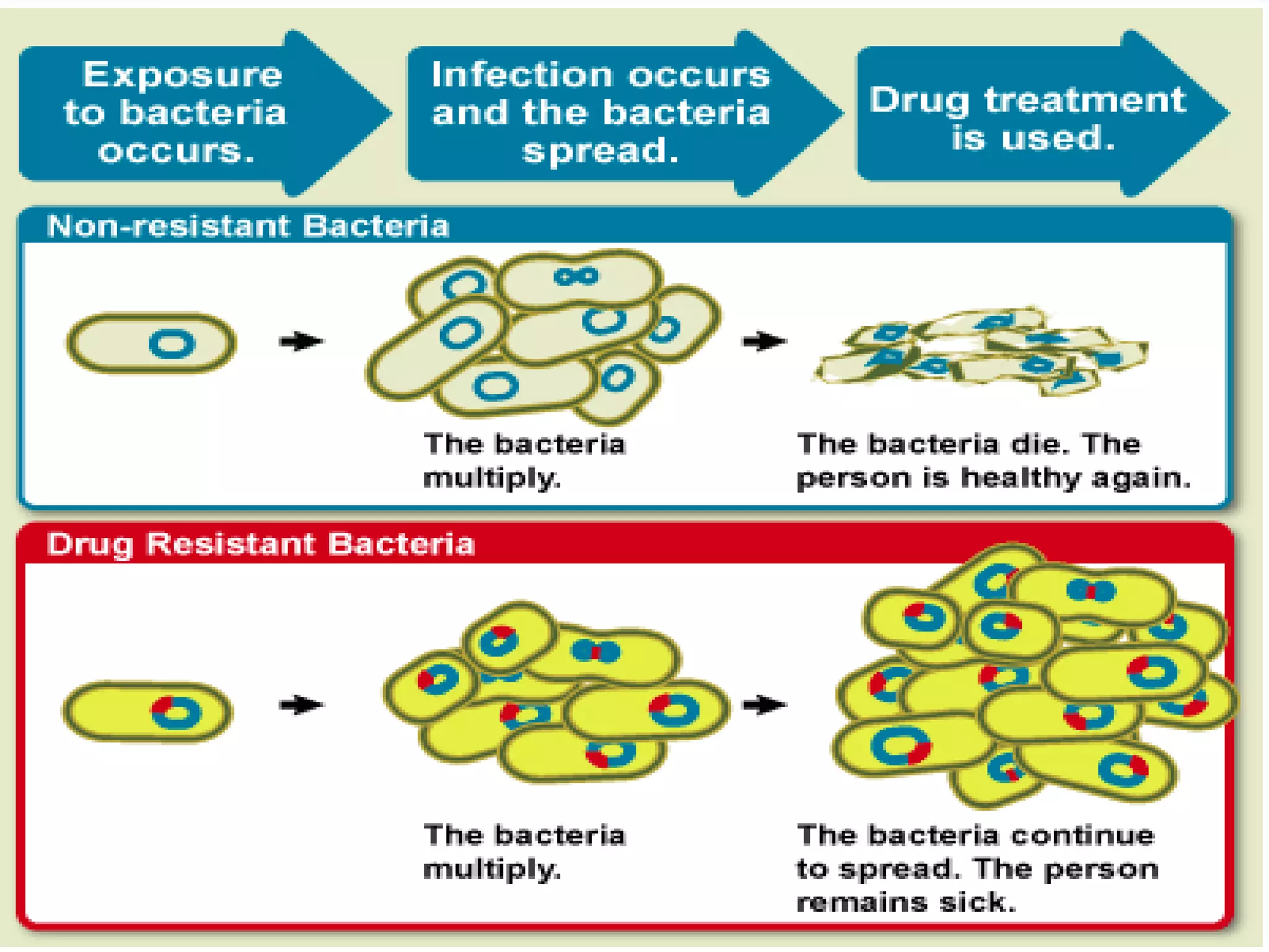 Multiple drug resistance | PPTX