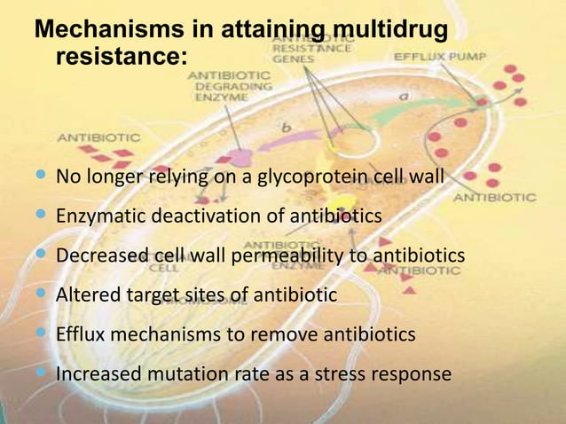 Multiple drug resistance | PPTX | Infectious Diseases | Diseases and ...