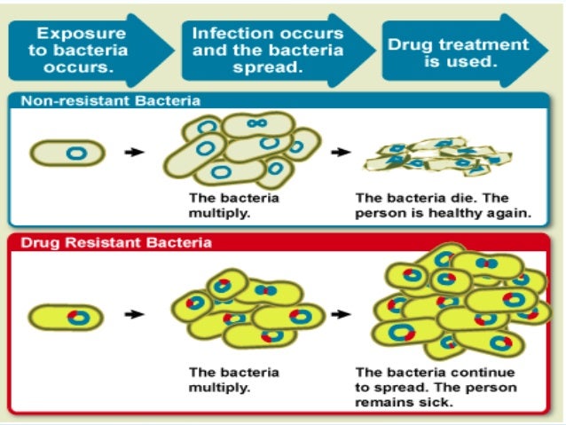 Multiple drug resistance