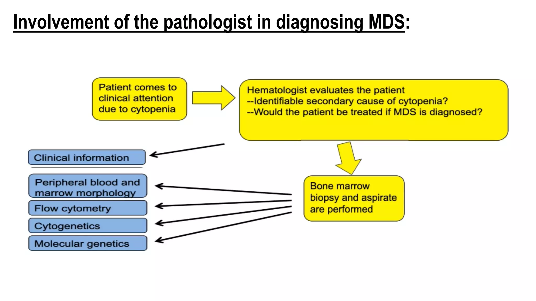 Myelodysplastic Syndromes (MDS) | PDF
