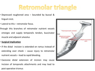 Retromolar Triangle