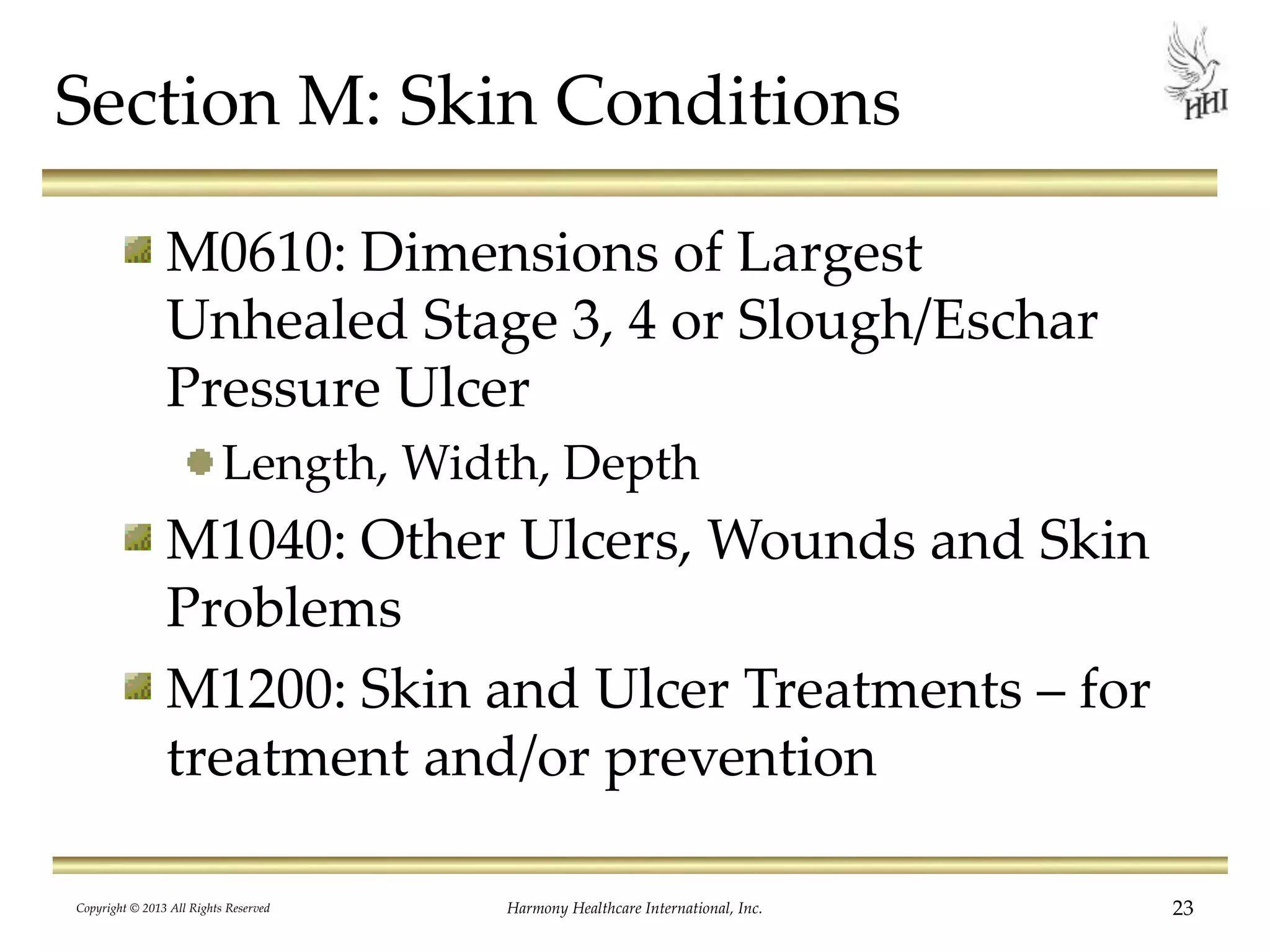 MDS 3.0: A Guide to Coding Accuracy | PPTX