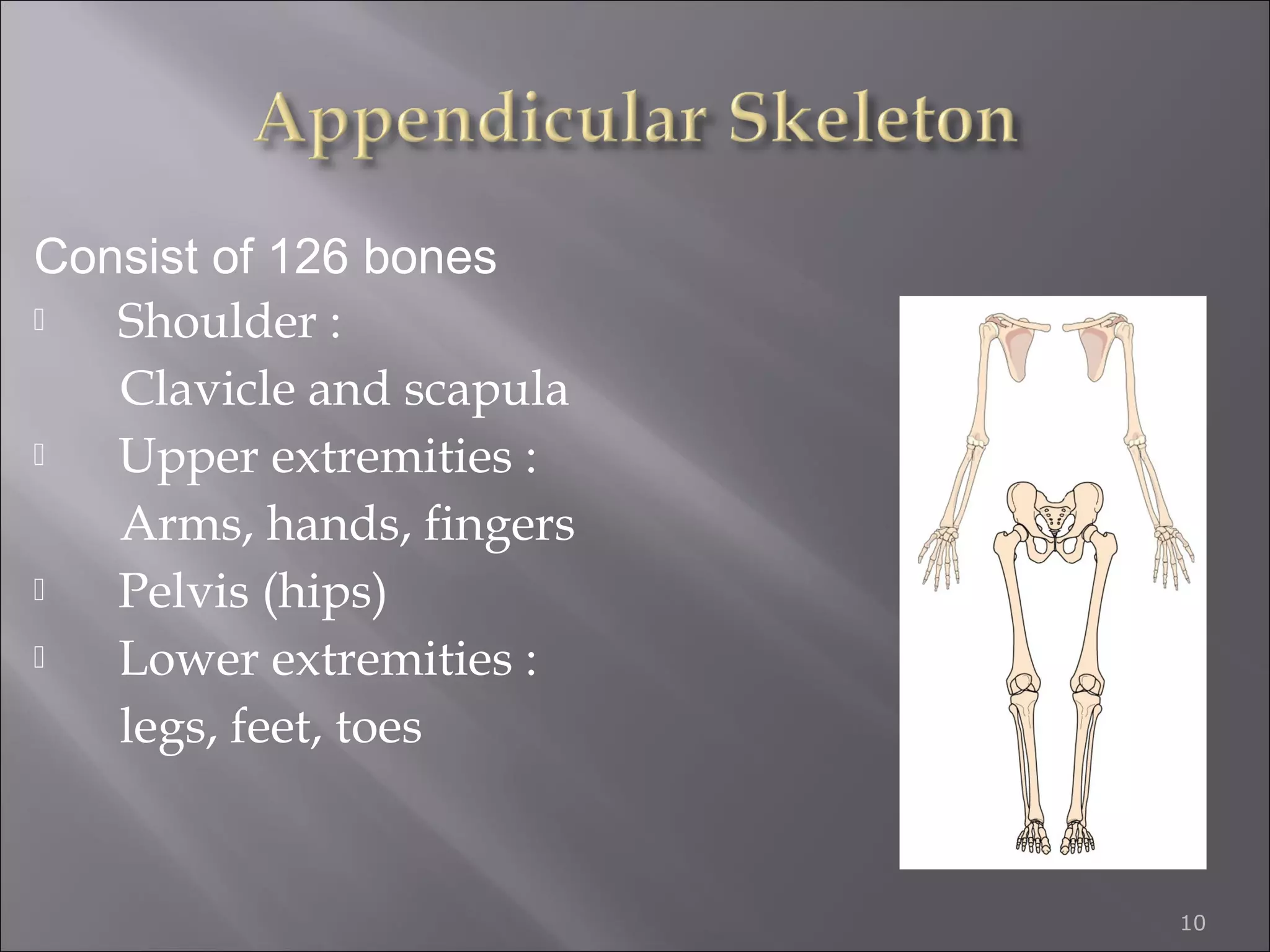 MUSCULOSKELETAL INJURIES | PPT