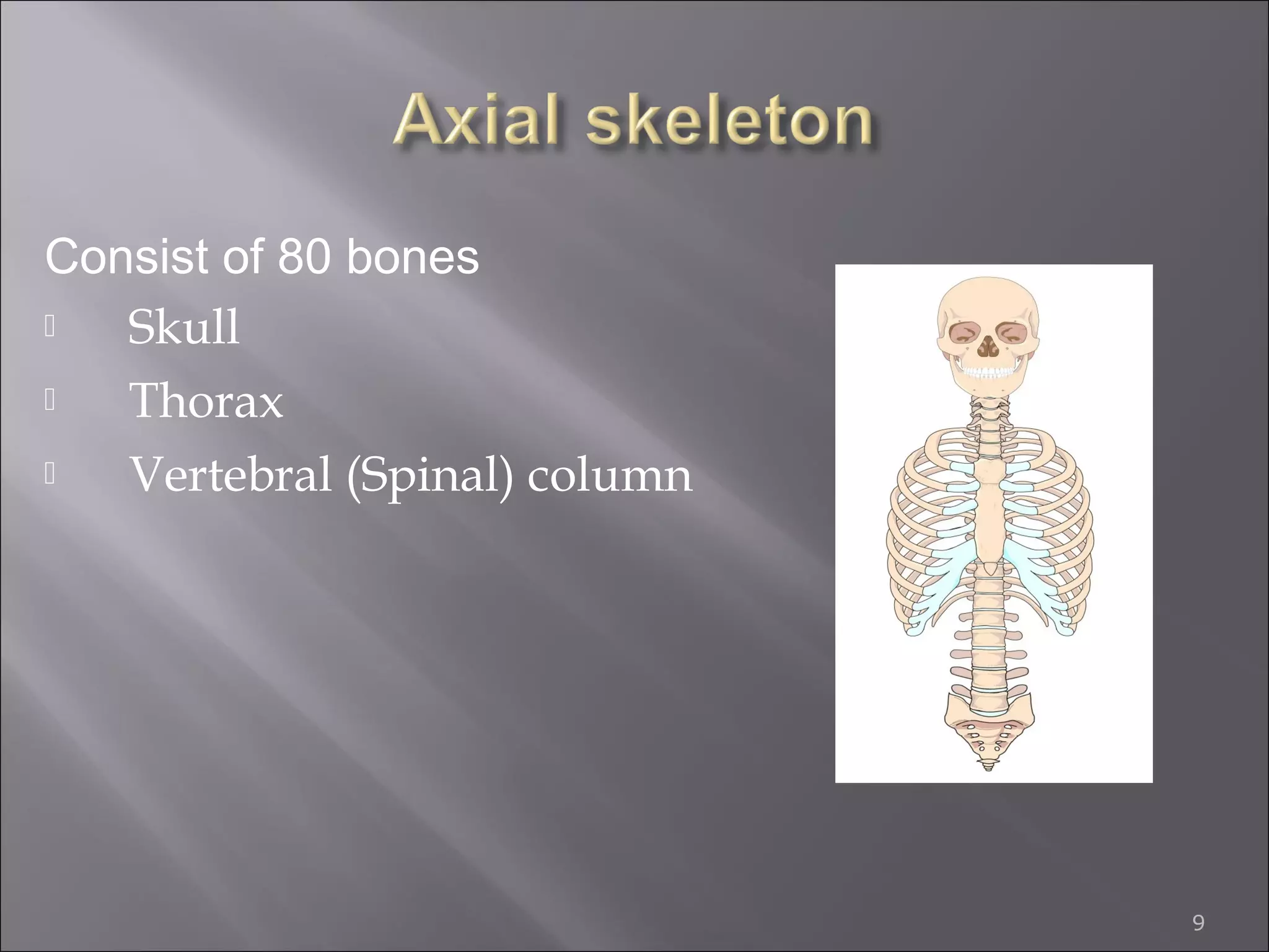 MUSCULOSKELETAL INJURIES | PPT
