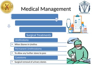 Surgical Management of Cystolith in a Dog | PPTX