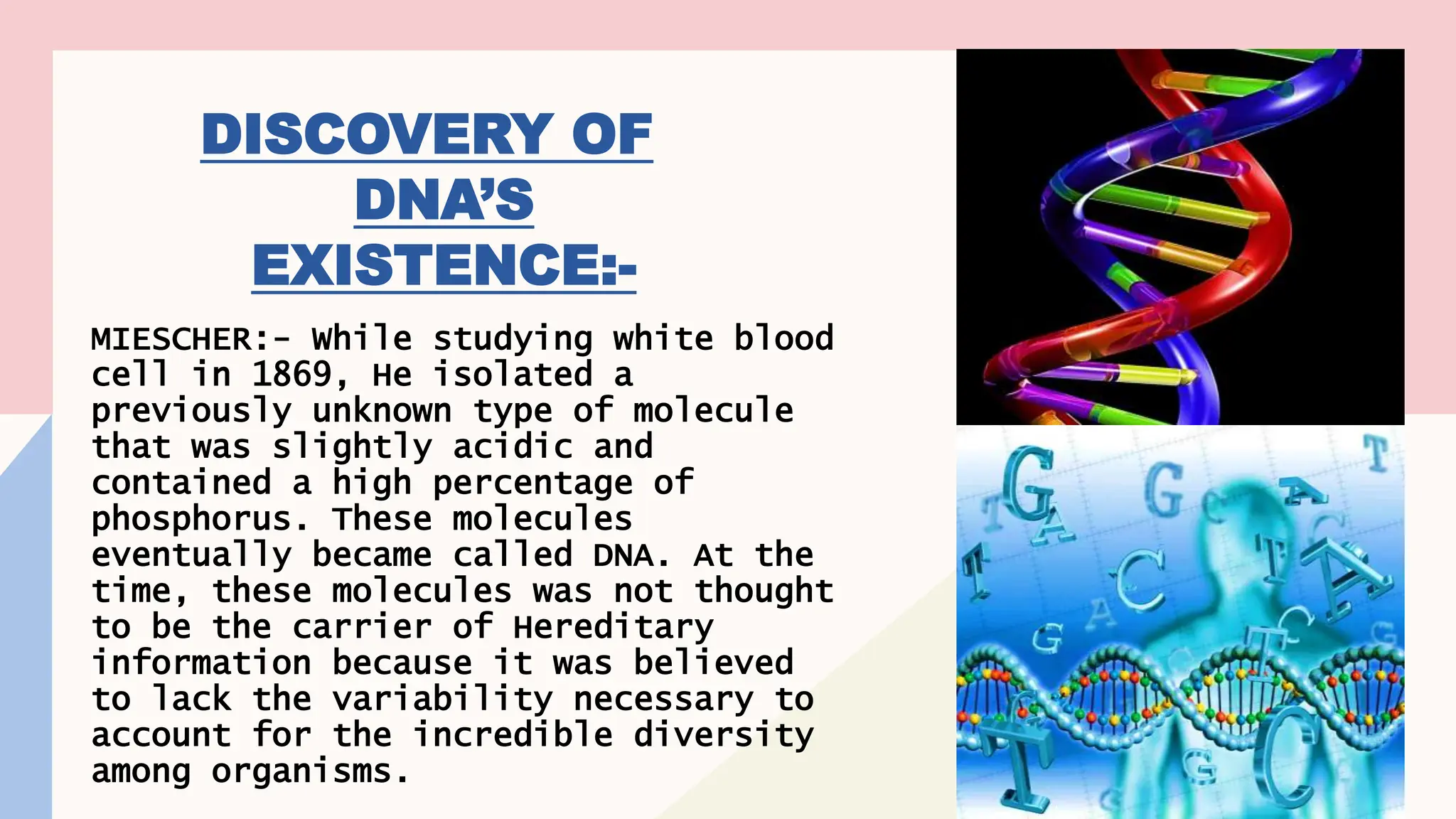 DNA structure and it's function by md saqlain umar.pptx