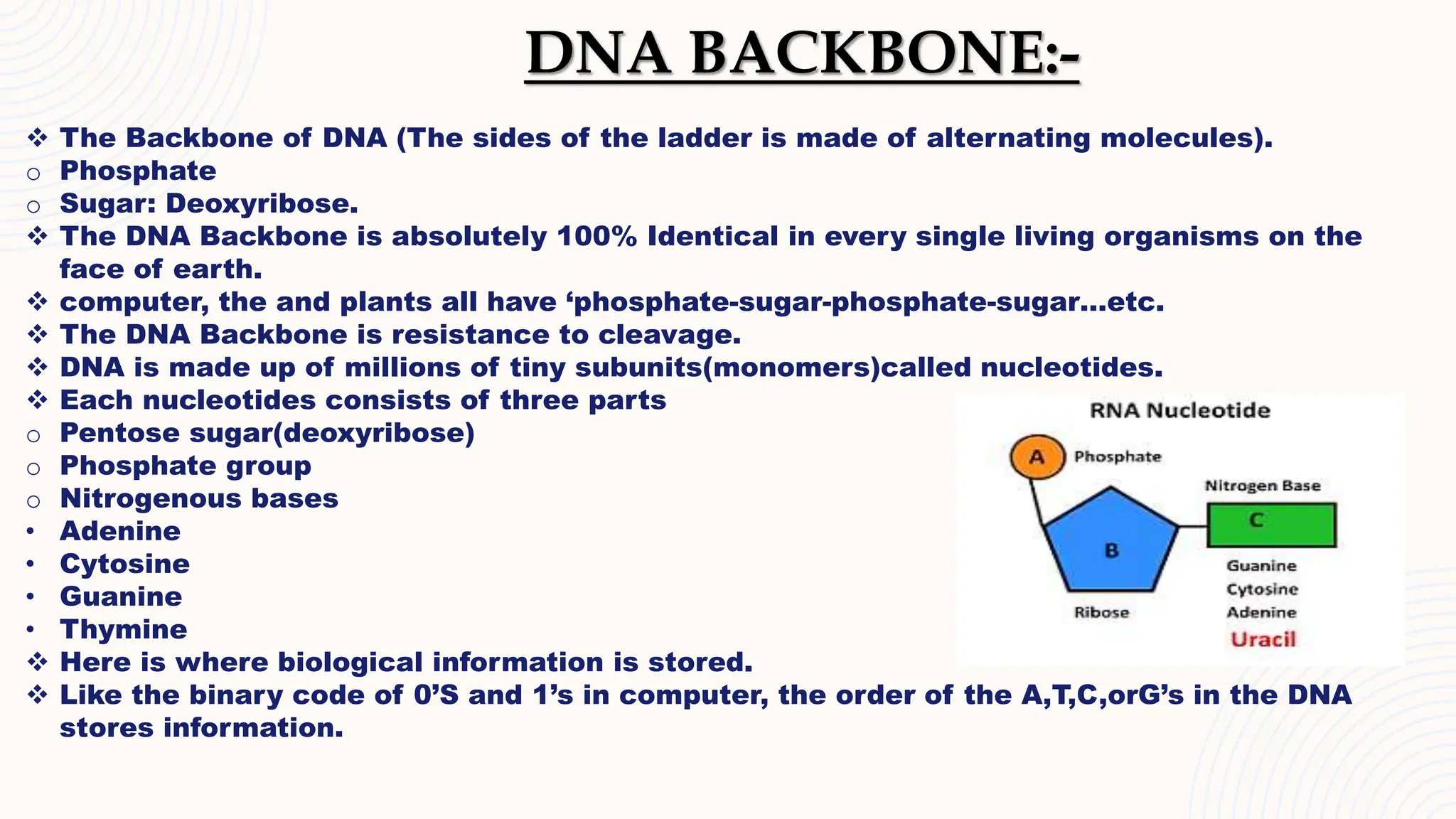 DNA structure and it's function by md saqlain umar.pptx