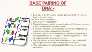 DNA structure and it's function by md saqlain umar.pptx