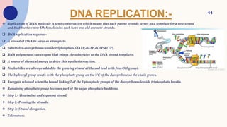 DNA structure and it's function by md saqlain umar.pptx