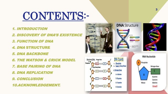 DNA structure and it's function by md saqlain umar.pptx