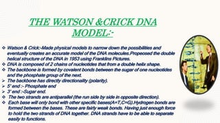DNA structure and it's function by md saqlain umar.pptx