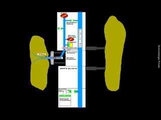 MDT_Client.ppt wireline testers MDT Modular Formation Dynamics Tester | PPT