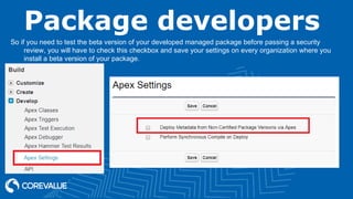 Custom Metadata Records Deployment From Apex Code | PPT