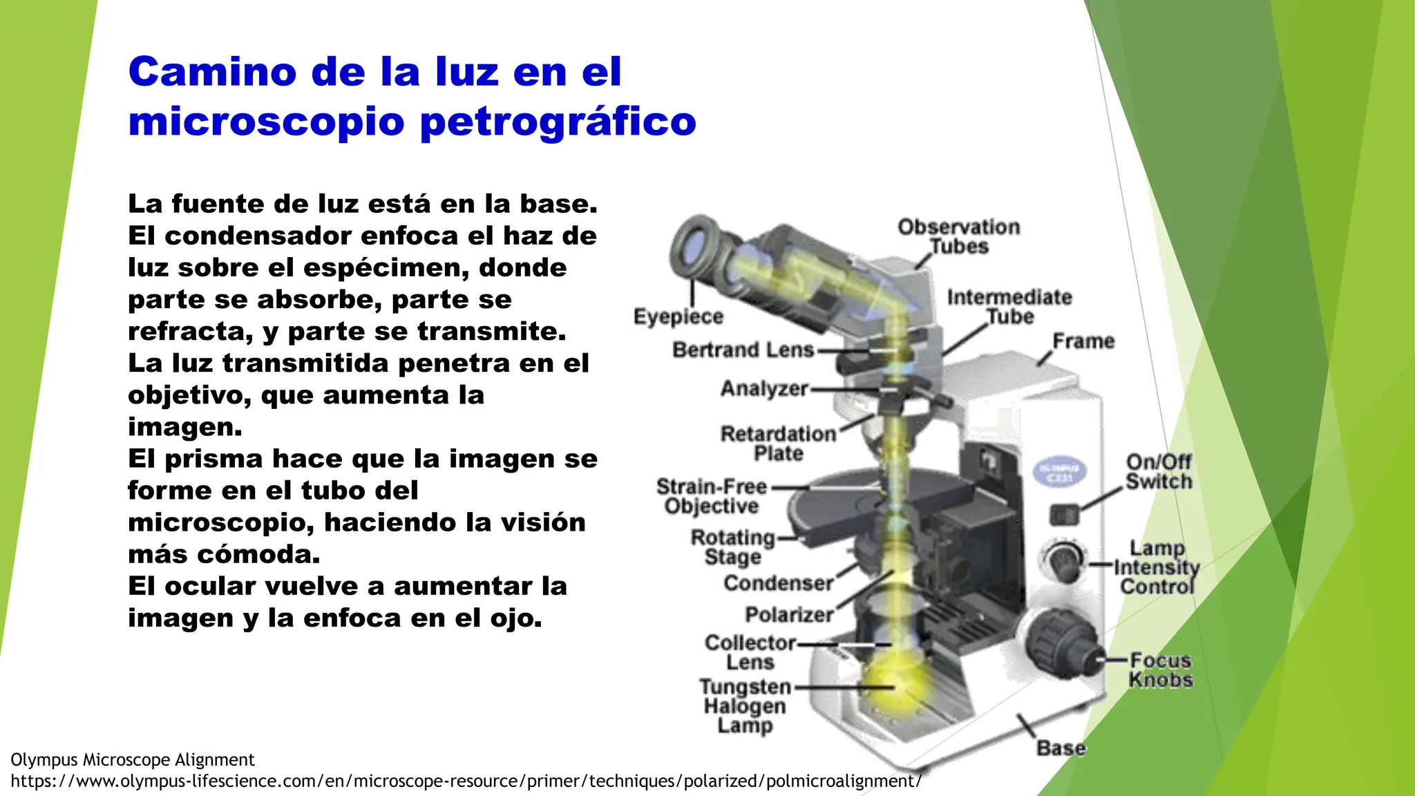 Módulo 3 Microscopía de luz transmitida (Microscopio petrográfico).pdf