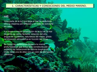 Módulo iv ECOSISTEMA MARINO | PPT