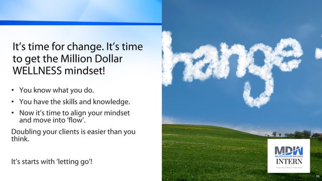 Million Dollar Wellness Company profile | PDF | Physical Therapy | Wellness