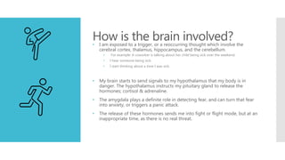 Understanding_the_Brain_Final_Project.pptx