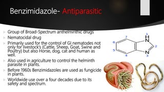 Benzimidazole | PPTX