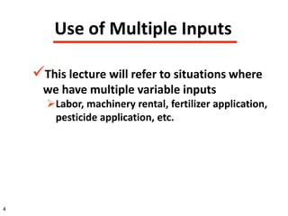 Economics of Input Input Combination | PPTX