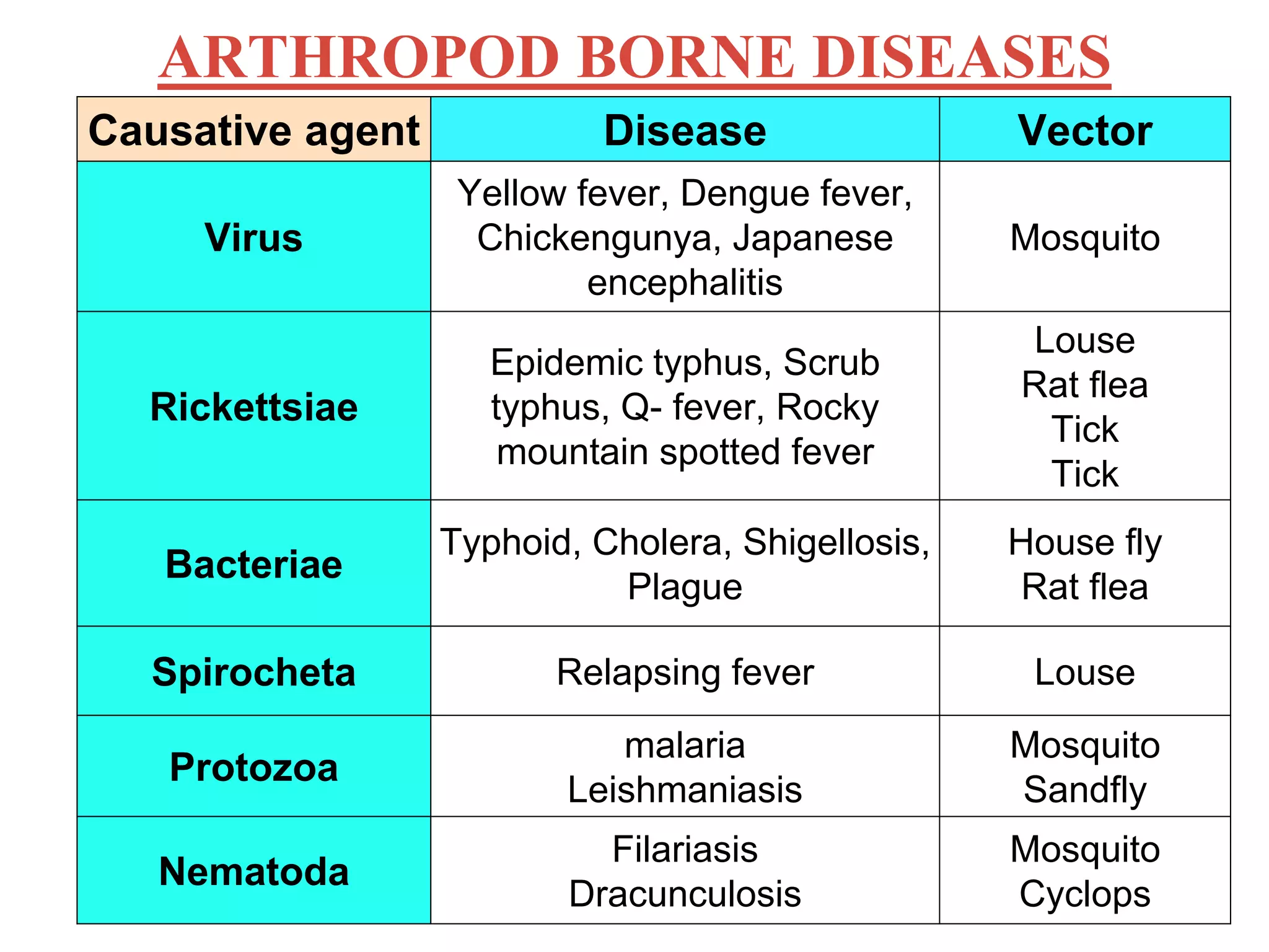 Medical Entomology - Mosquito | PPTX