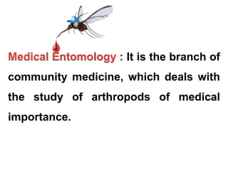 Medical Entomology - Mosquito | PPTX