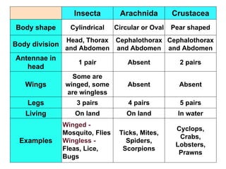 Medical Entomology - Mosquito | PPTX