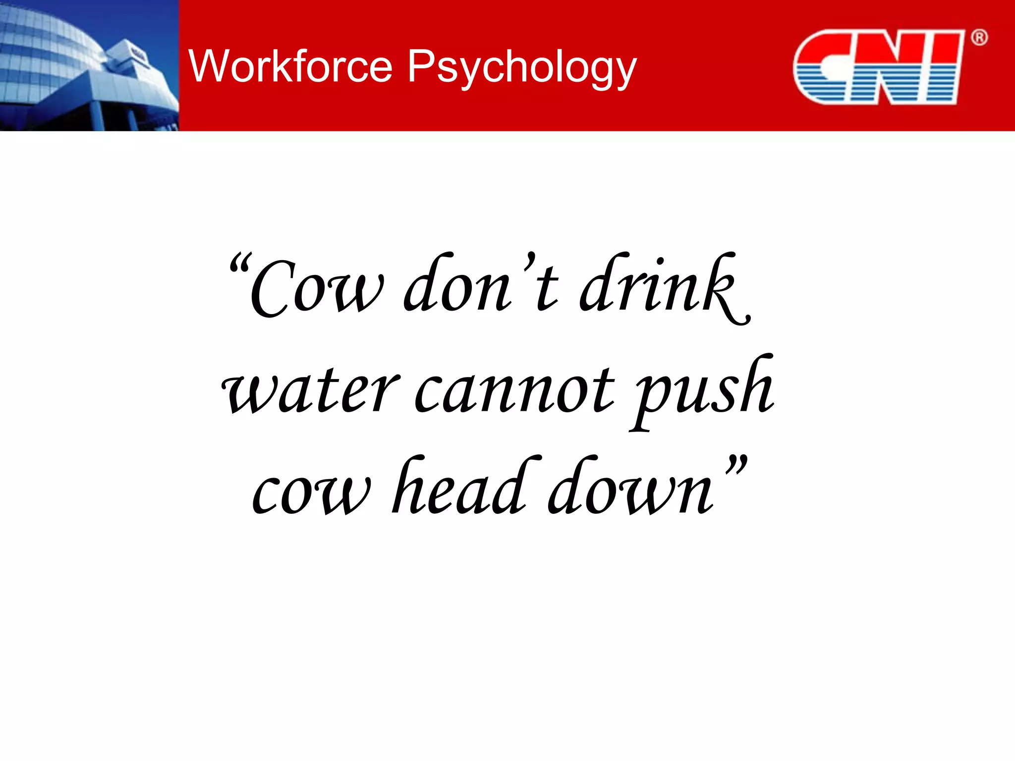 Constructing High Performing Organisations - Building Blocks ...