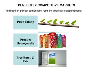 Microeconomics Perfect Competition | PDF