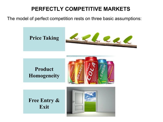 Microeconomics Perfect Competition | PDF