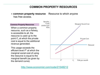 Microeconomics Externalities | PDF