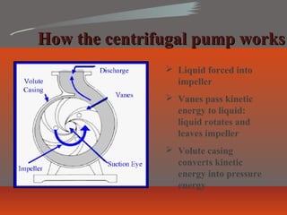 Pumps and types of pumps | PPT