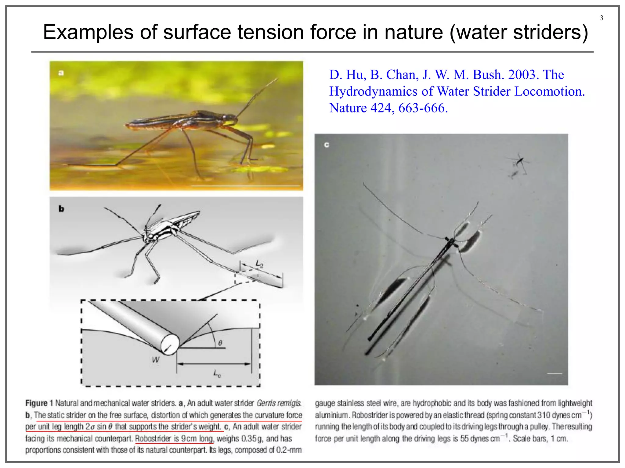 Molecular origin of surface tension at liquid-vapor interfaces | PDF