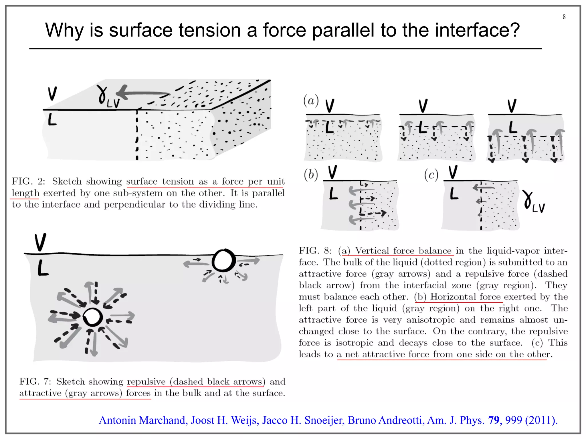 Molecular origin of surface tension at liquid-vapor interfaces | PDF