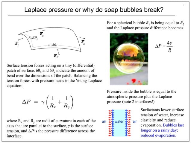 Molecular origin of surface tension at liquid-vapor interfaces | PDF ...