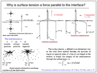 Molecular origin of surface tension at liquid-vapor interfaces | PDF