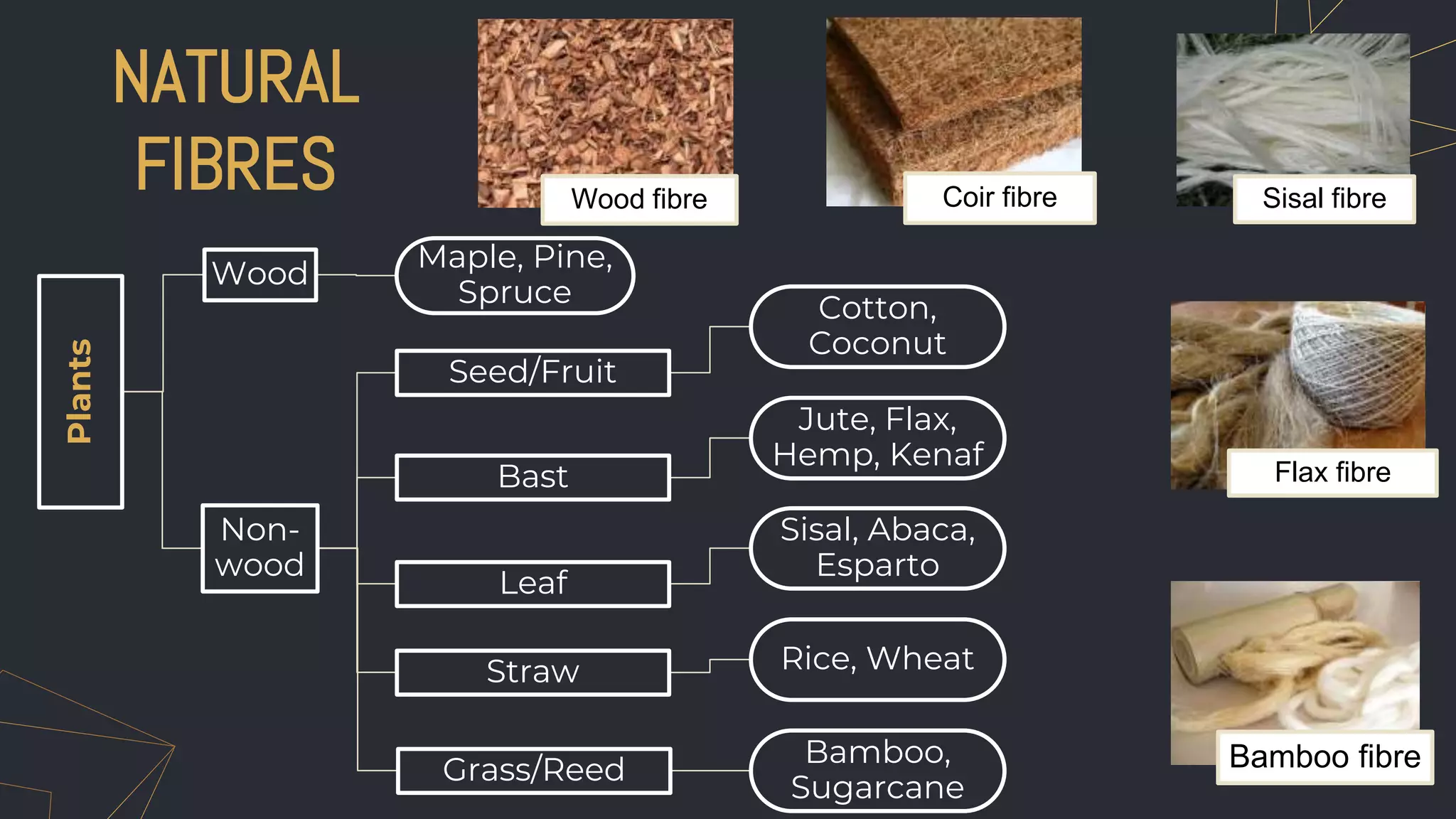 Natural Fiber Based Composite Materials | PPTX