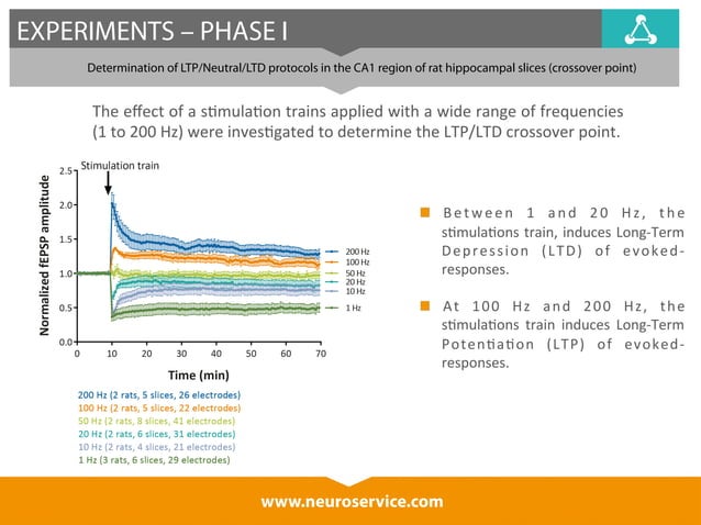 Multi-Electrode Array technique -Evaluation of compounds on NMDA ...