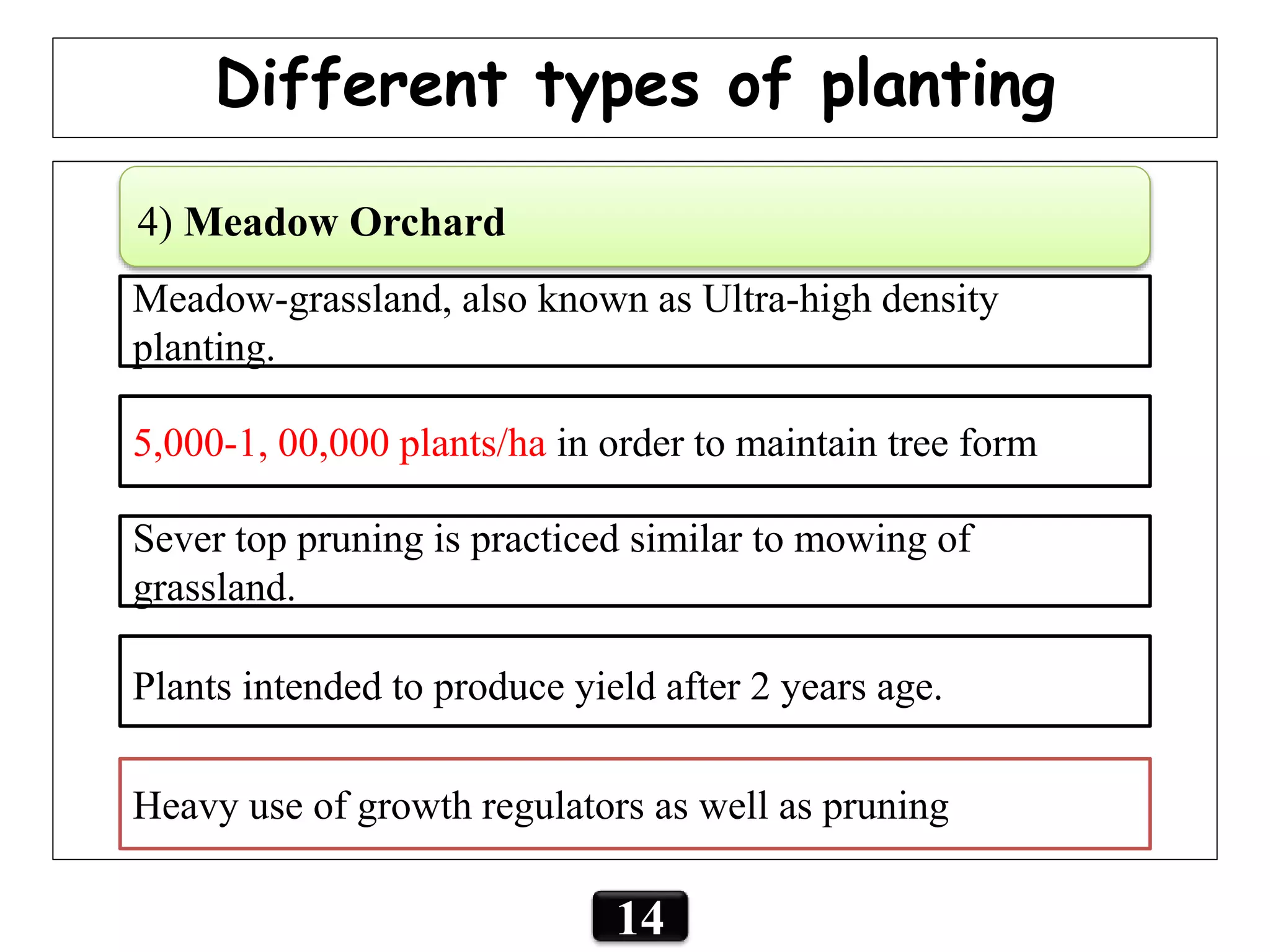 Meadow orchrad in_guava | PPTX
